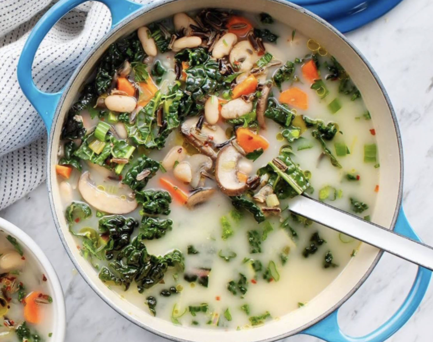 Wild Rice Soup – MyHealthAngel